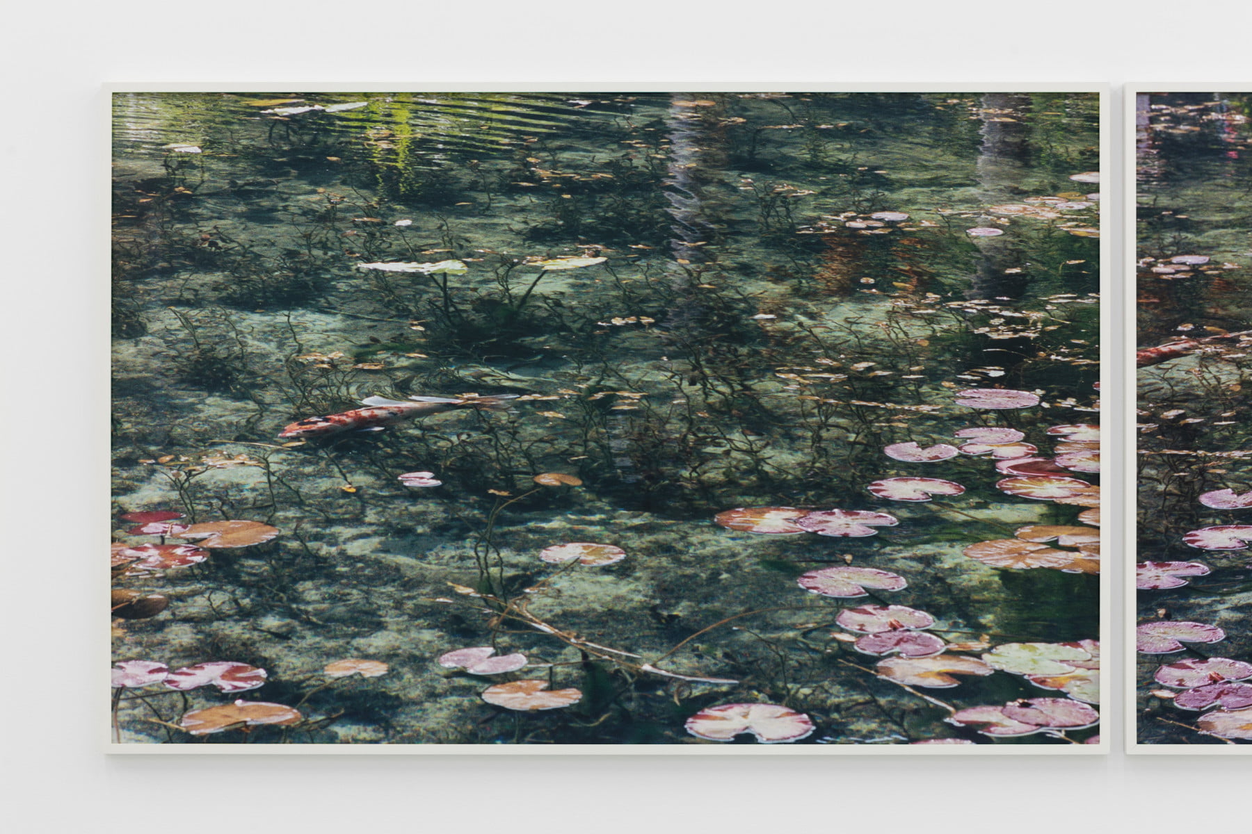 Untitled (after C.M.), 2021 | Daniel Gustav Cramer